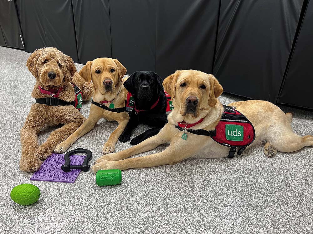 UDS service dogs program achieves accreditation | TownLively