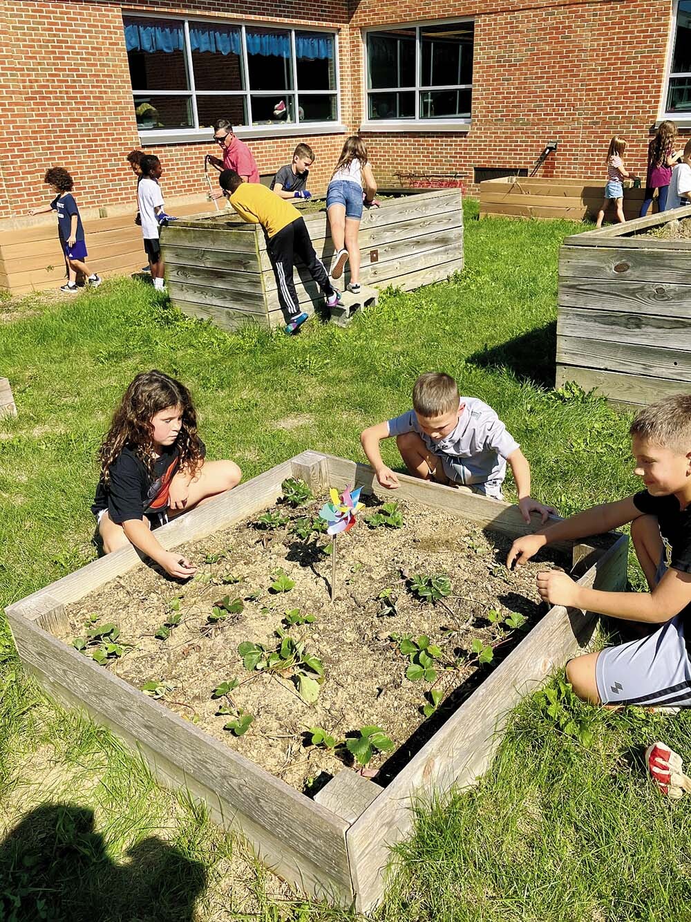 Students taste the fruits of their labor from school garden | TownLively